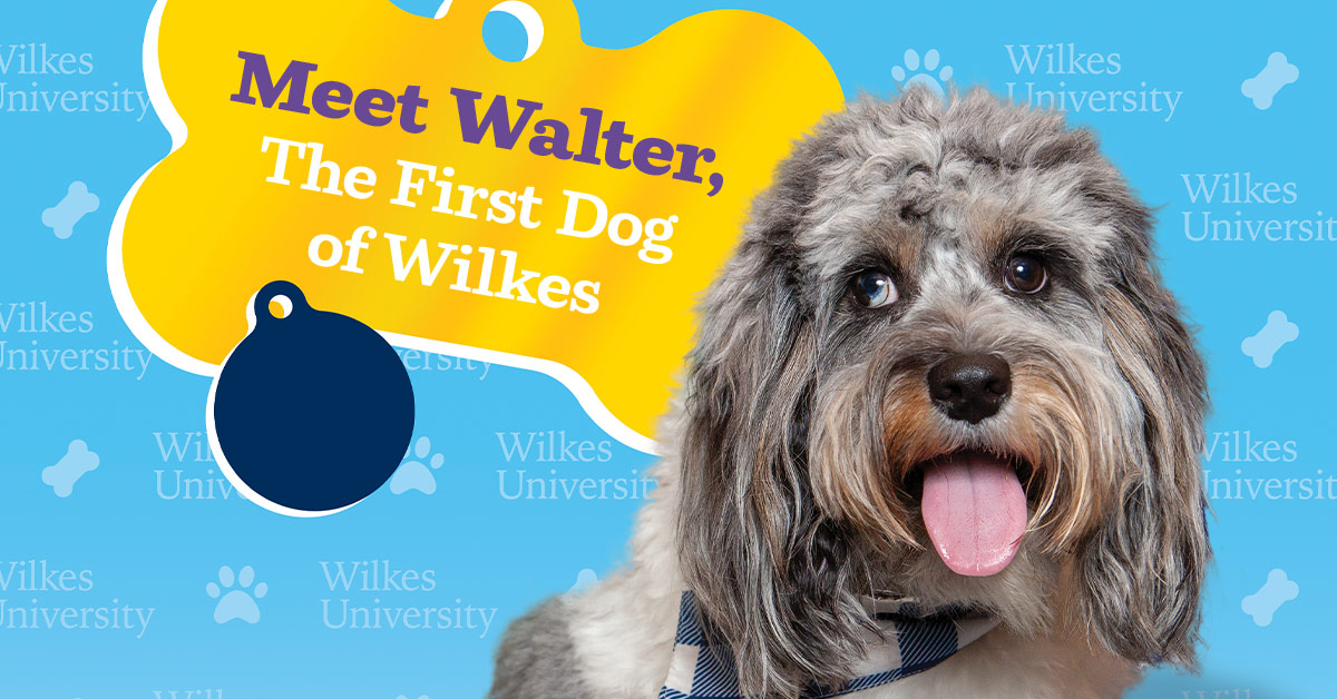 Meet Walter, The First Dog of Wilkes